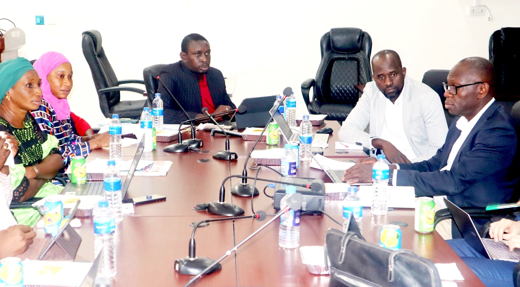 MoHERST Leads Roundtable Discussion on STI for SDGs Roadmap Project for ...